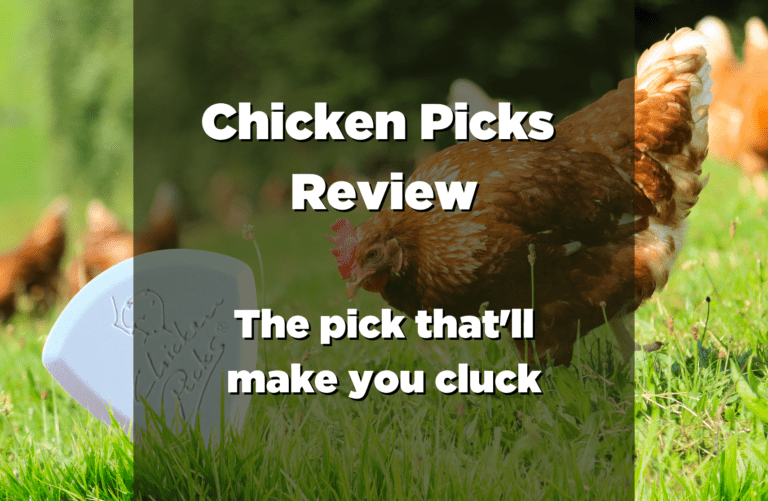 Chicken Picks - Full Review - Guitar Pick Reviews