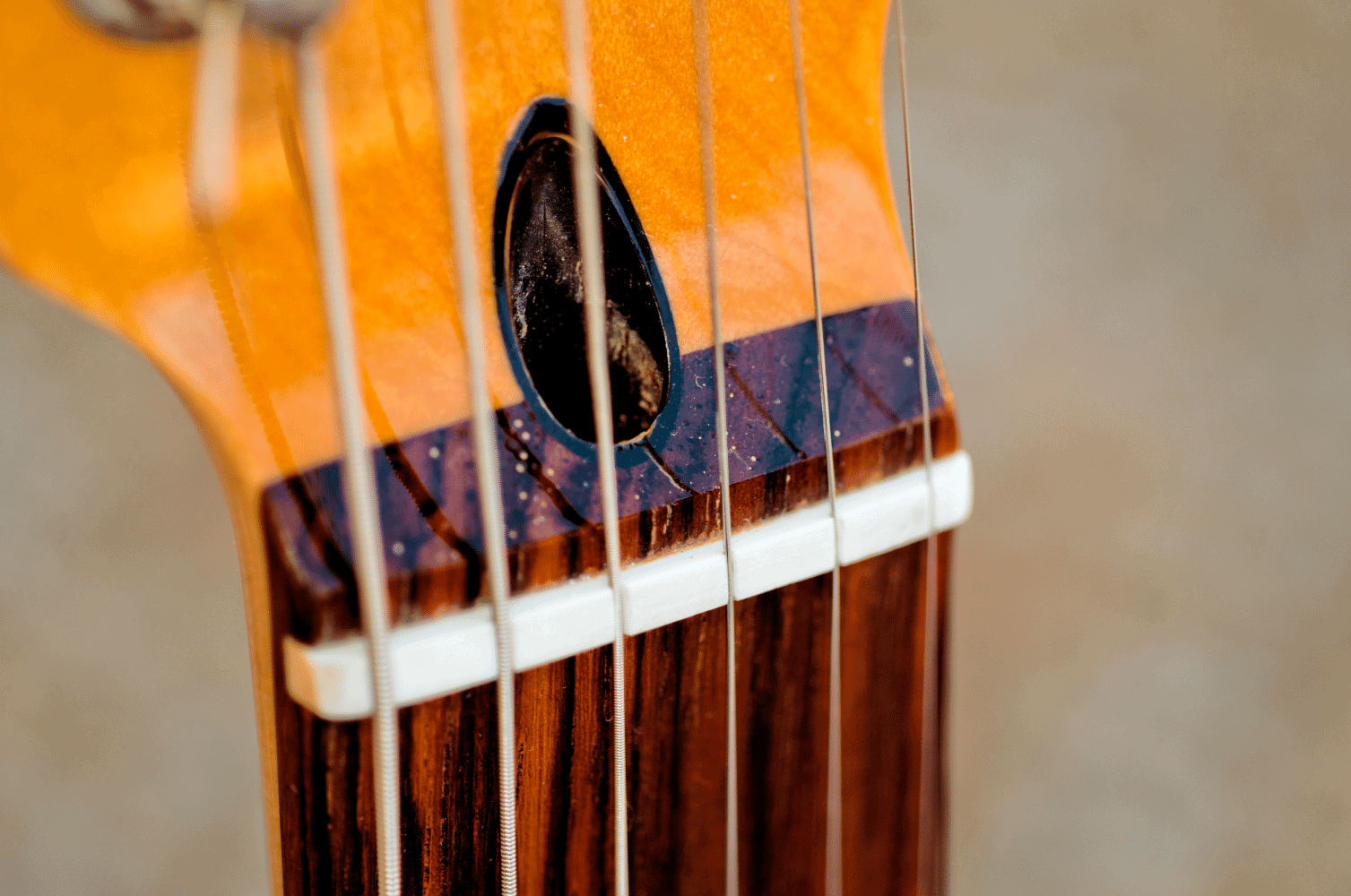 All Guitar Parts Explained: Electric, Acoustic, And Classical + Diagrams